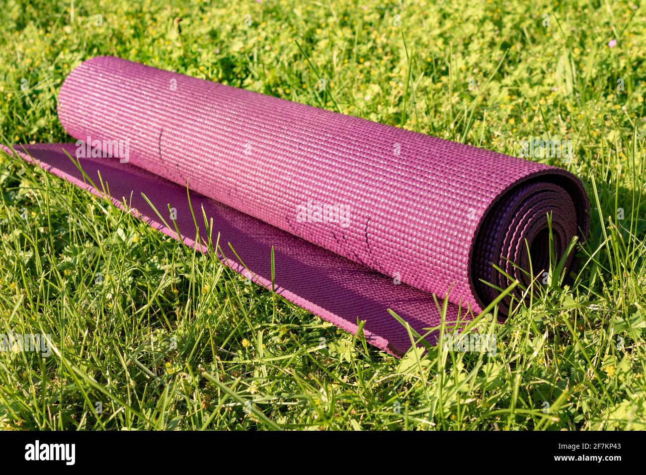 Vibrant mat hi-res stock photography and images - Alamy