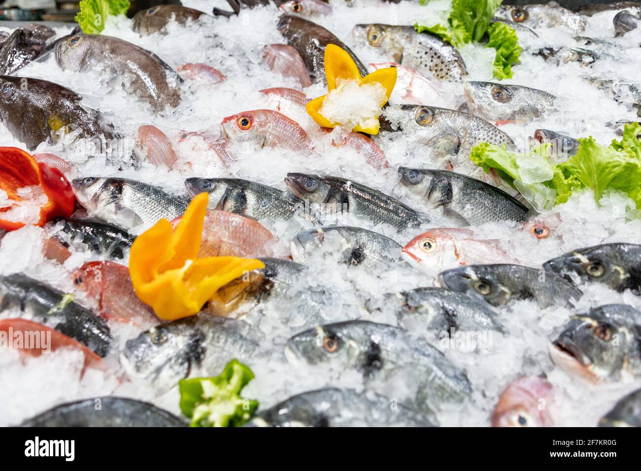 Whole salmon fish shop display hi-res stock photography and images - Alamy
