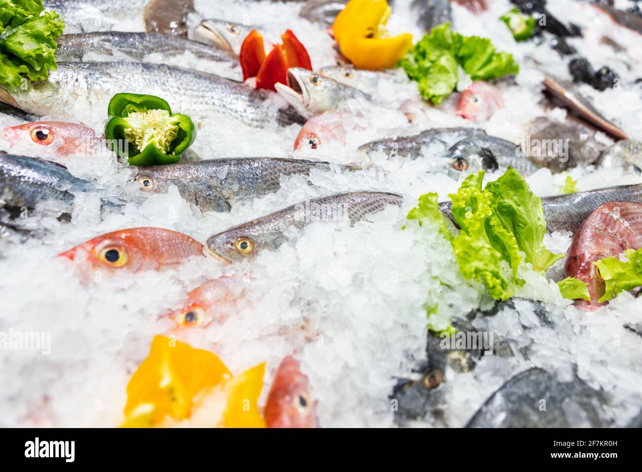 supermarket fishmonger with fresh fish Stock Photo - Alamy