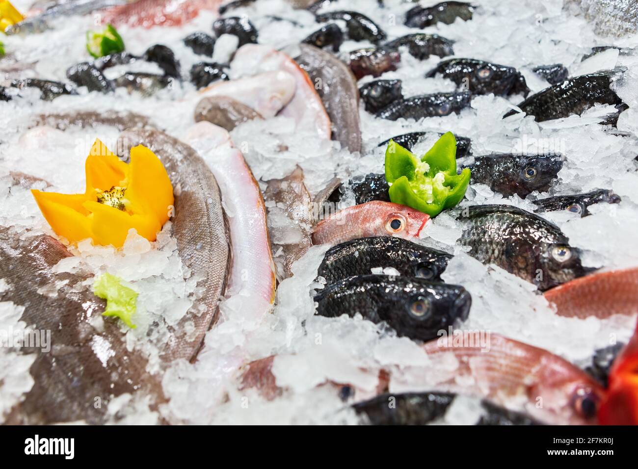 supermarket fishmonger with fresh fish Stock Photo - Alamy