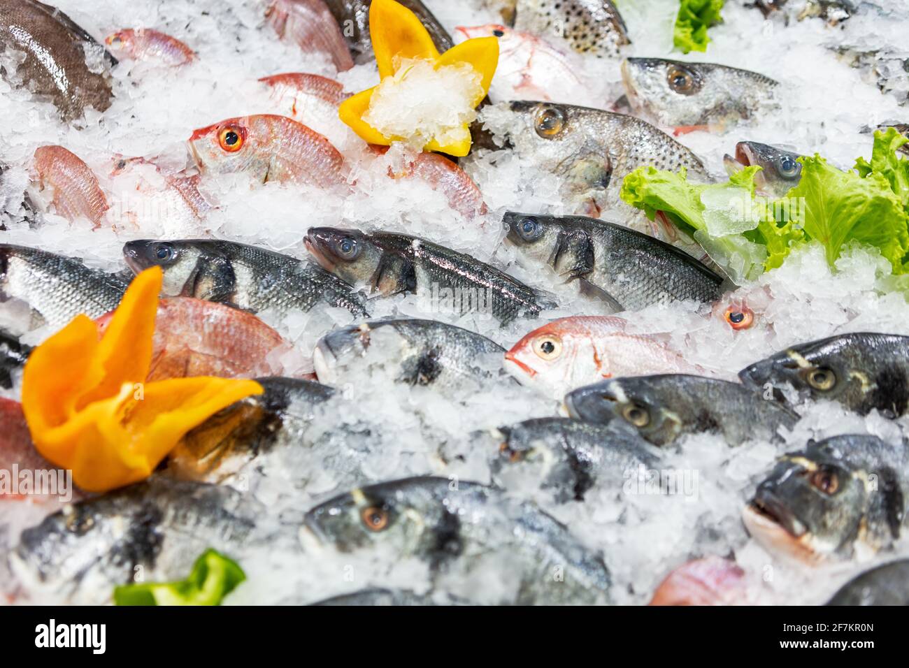supermarket fishmonger with fresh fish Stock Photo - Alamy