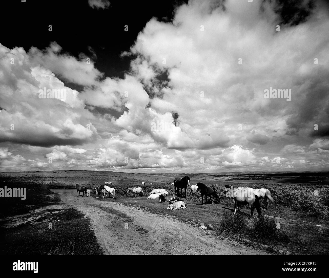 Reynoldston gower Black and White Stock Photos & Images - Alamy
