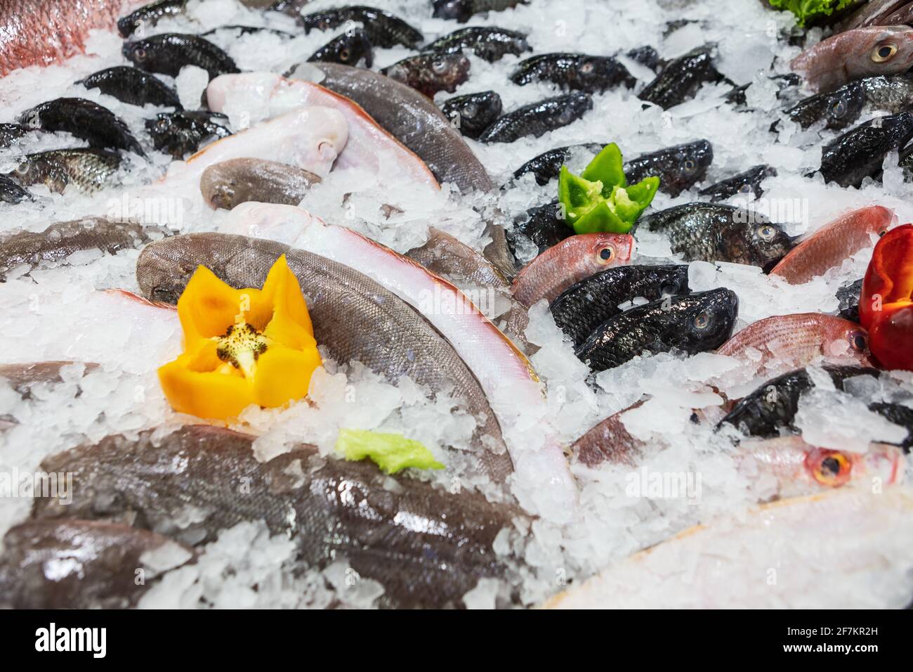 supermarket fishmonger with fresh fish Stock Photo - Alamy