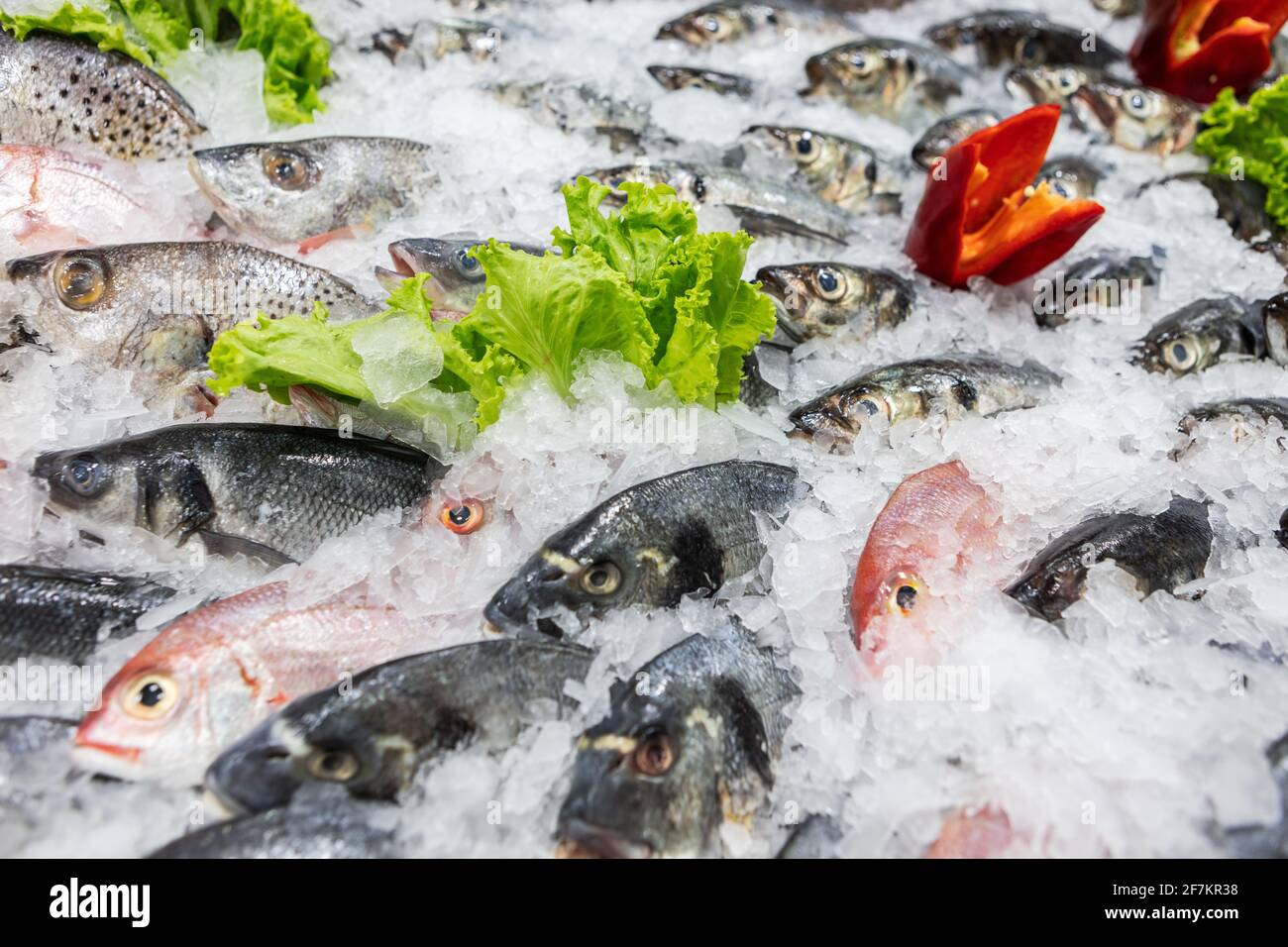 supermarket fishmonger with fresh fish Stock Photo - Alamy