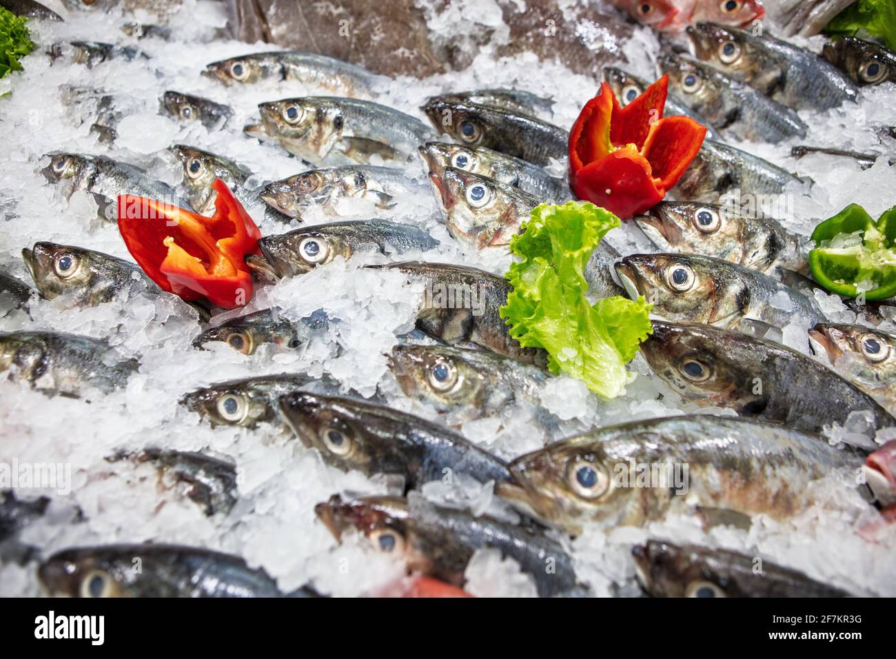 supermarket fishmonger with fresh fish Stock Photo - Alamy