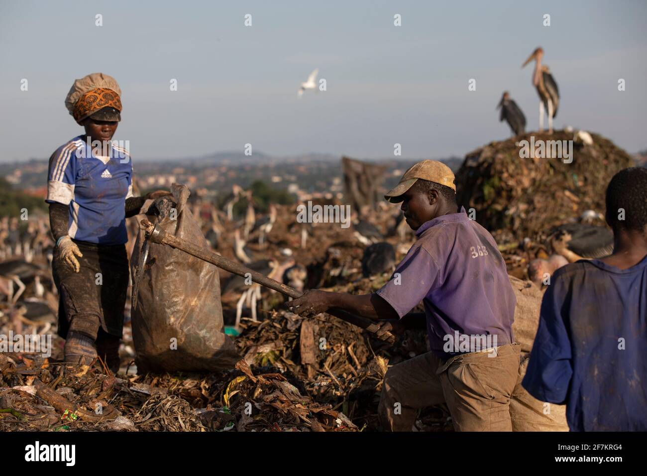 Electronicwaste hi-res stock photography and images - Alamy