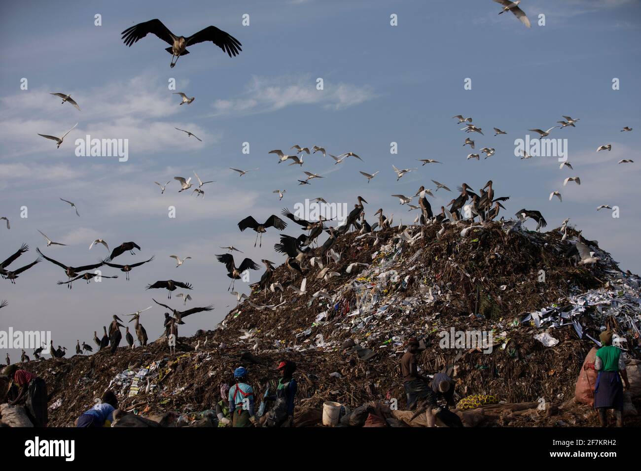 KAMPALA, UGANDA: Around 28,000 tons of rubbish is dumped in the ...