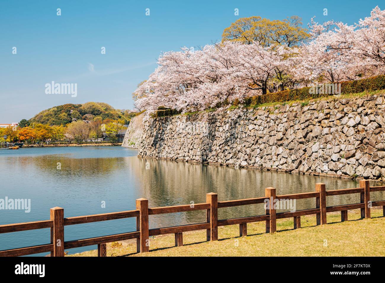 Spring of Himeji Castle in Japan Stock Photo - Alamy