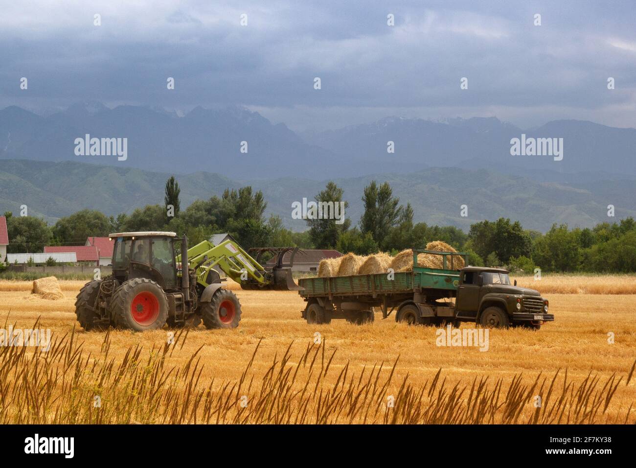 Tractor loads stacks of hay into a ZIL truck on a farm field in the ...