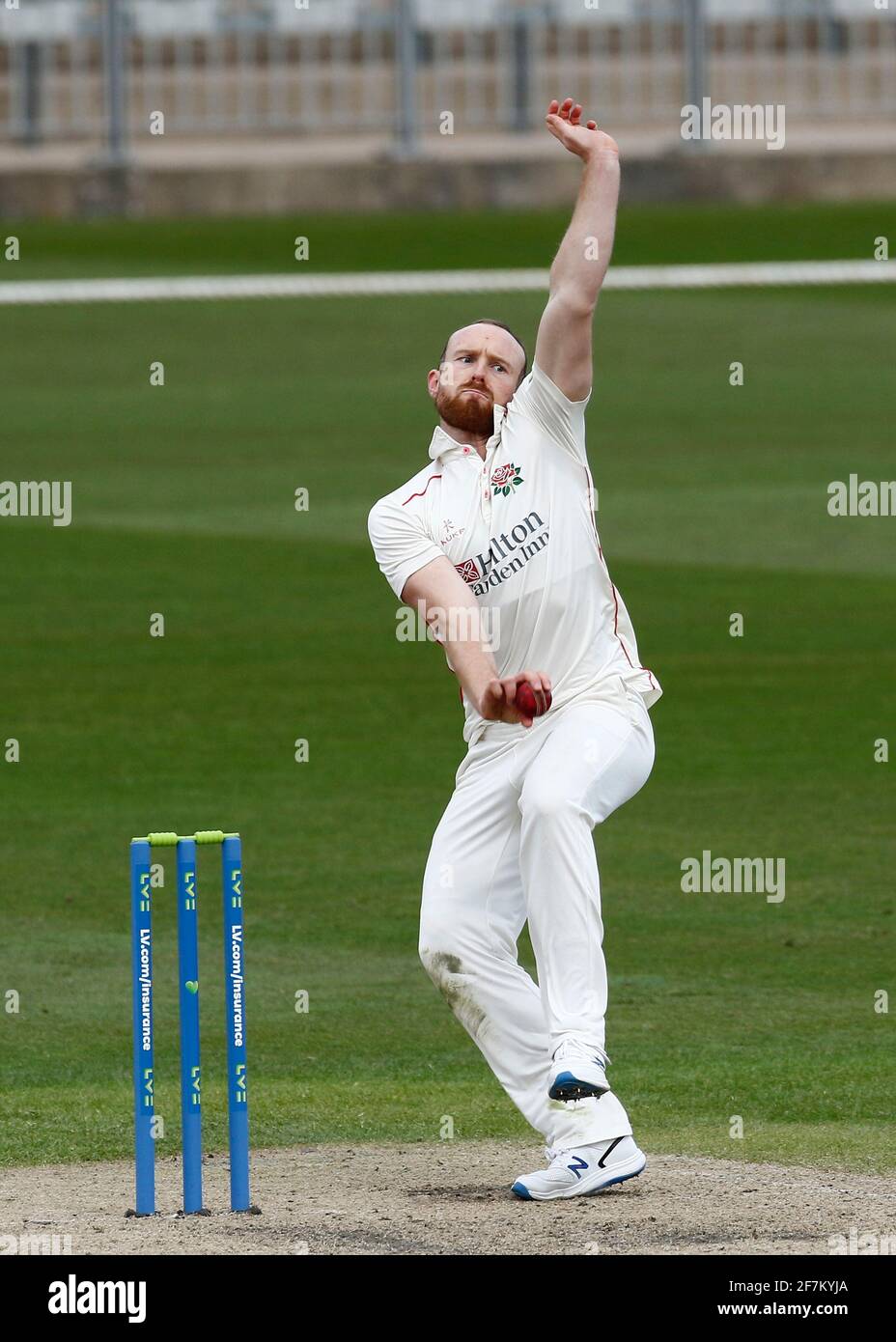 Cricket Lamb High Resolution Stock Photography and Images - Alamy