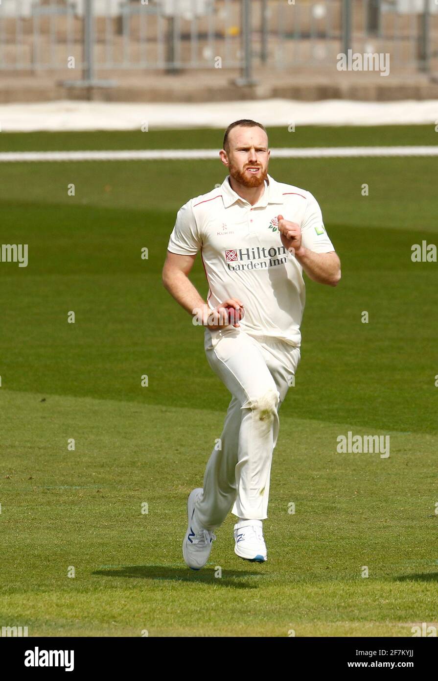 Cricket lamb hi-res stock photography and images - Alamy