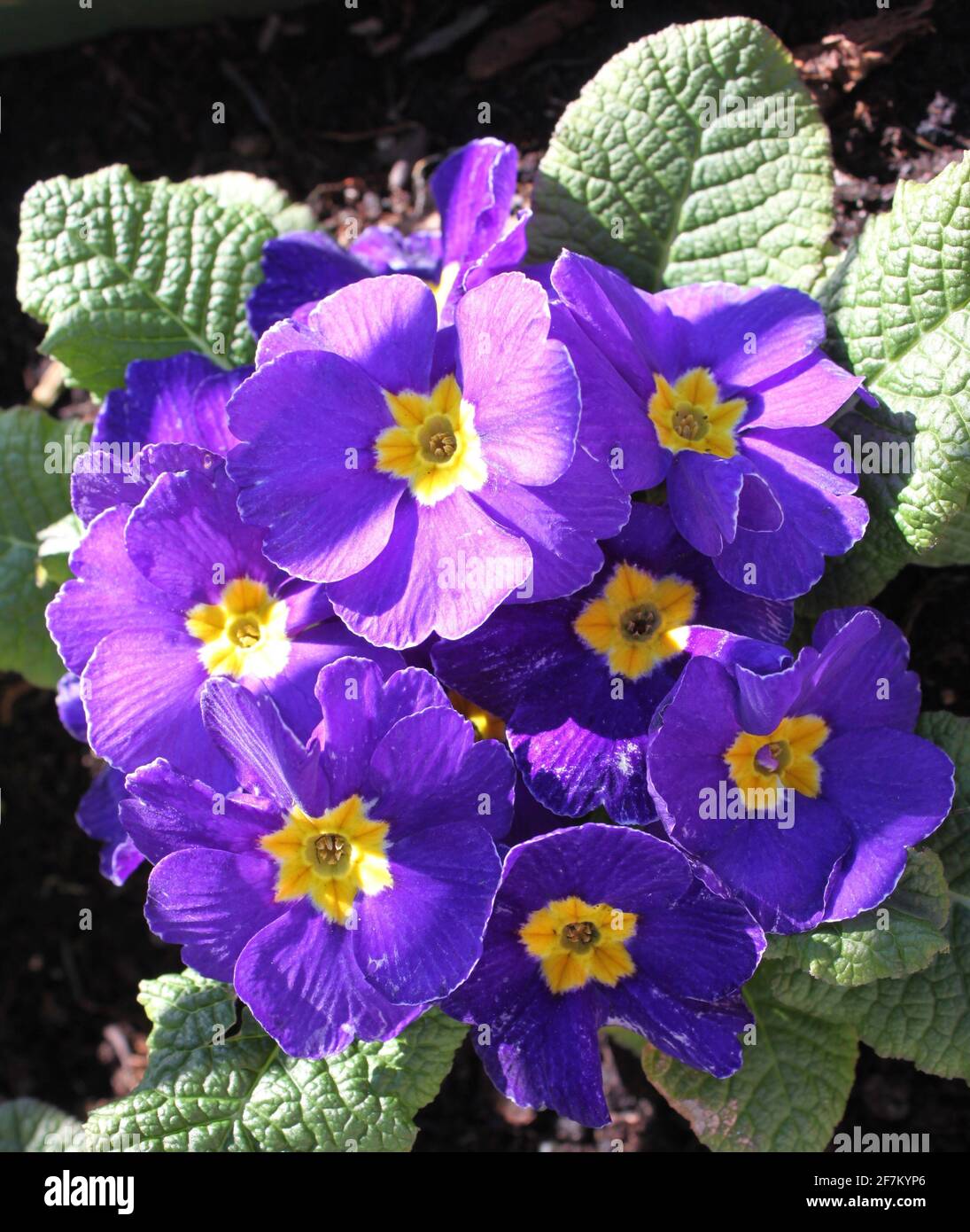 Duke energy hi-res stock photography and images - Alamy