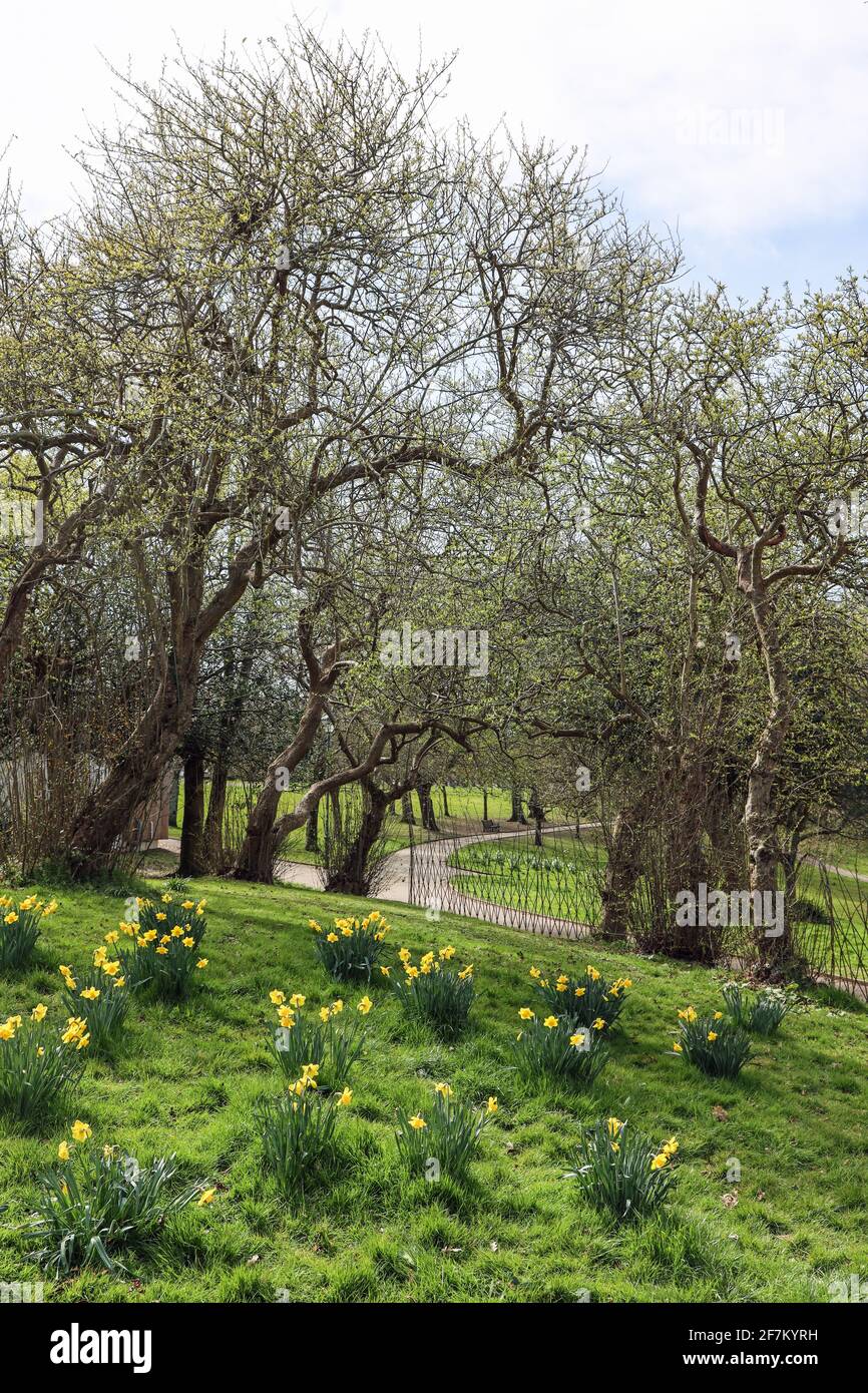 Friends of devonport park hi-res stock photography and images - Alamy