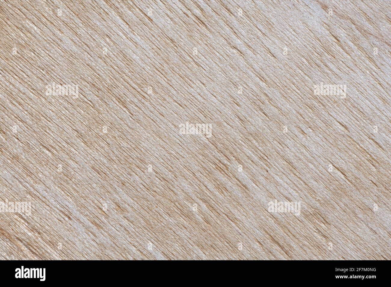 Fiber tree macro texture or background Stock Photo - Alamy