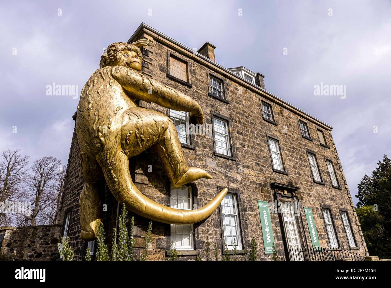 Lisa roet art hi-res stock photography and images - Alamy