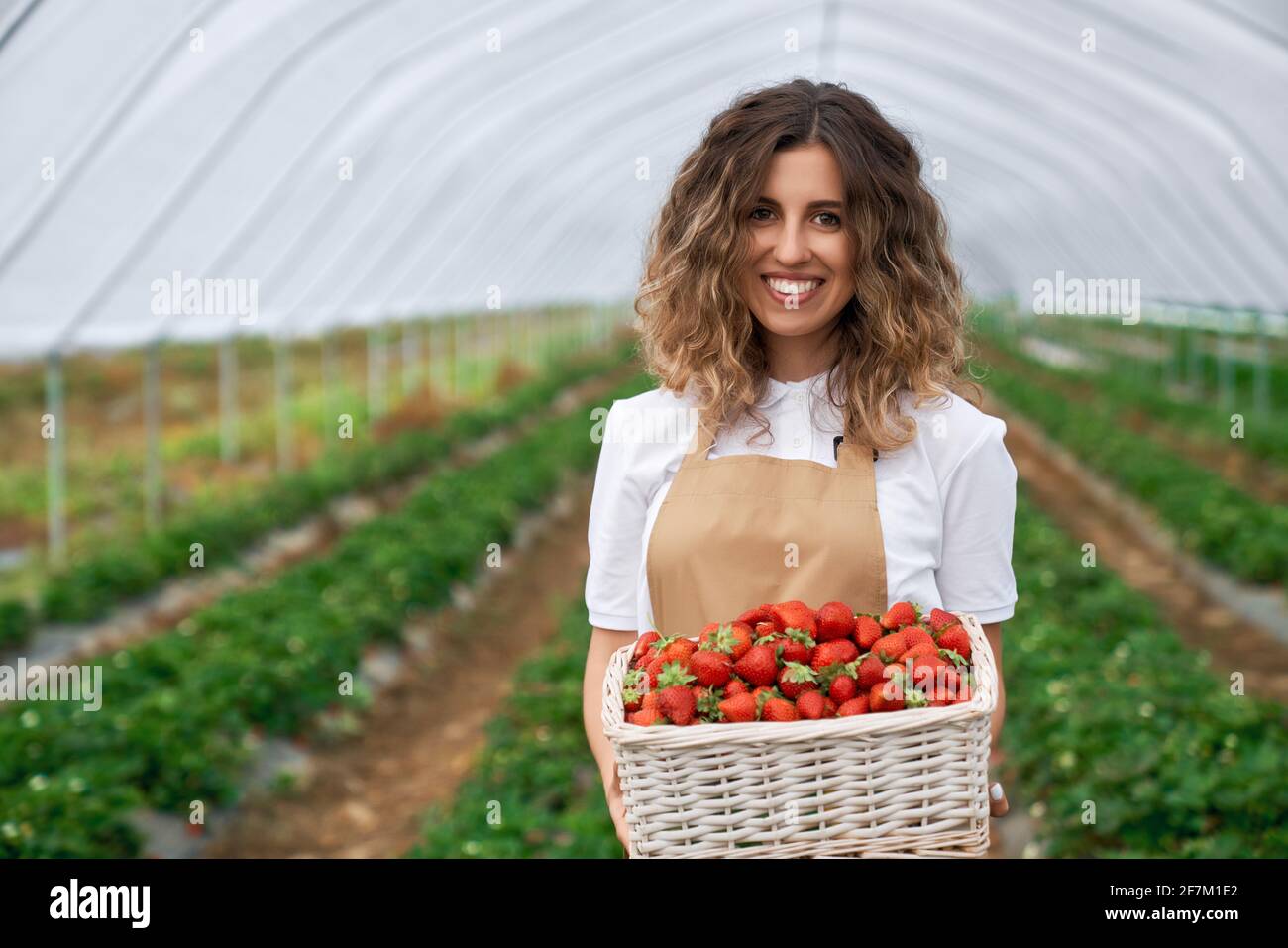 Front view of pretty female wearing apron holding big basket with ...