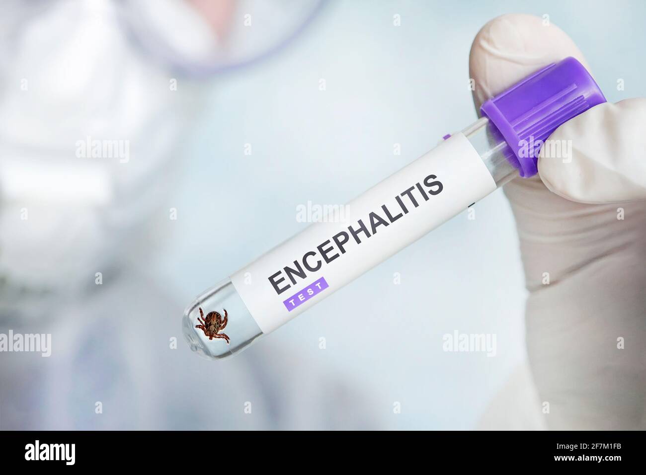 Doctor in rubber gloves and mask examines through a a test tube with a ...