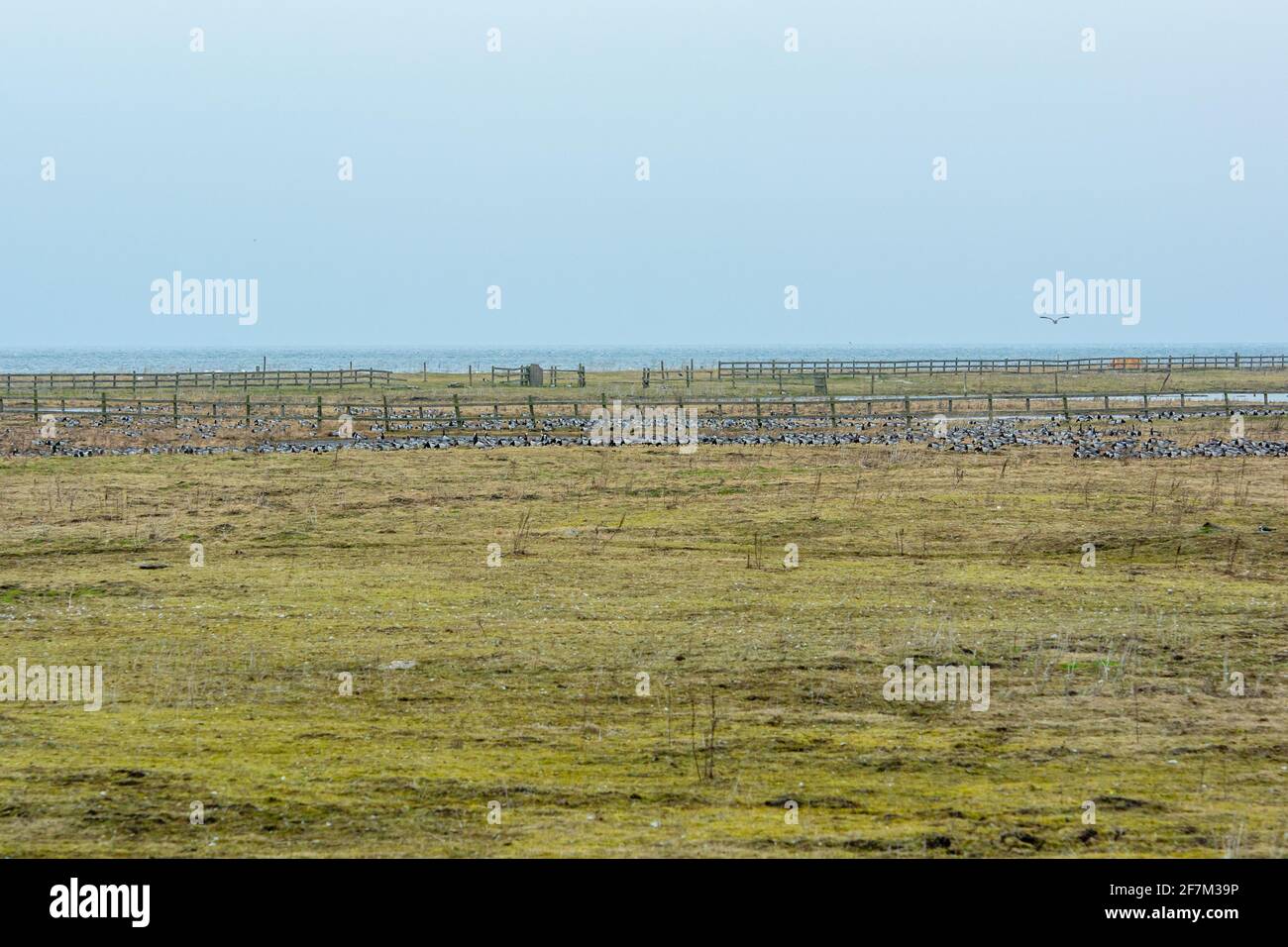 Lomma beach meadows, Malmo, southern Sweden. Blue sky and ocean in the ...