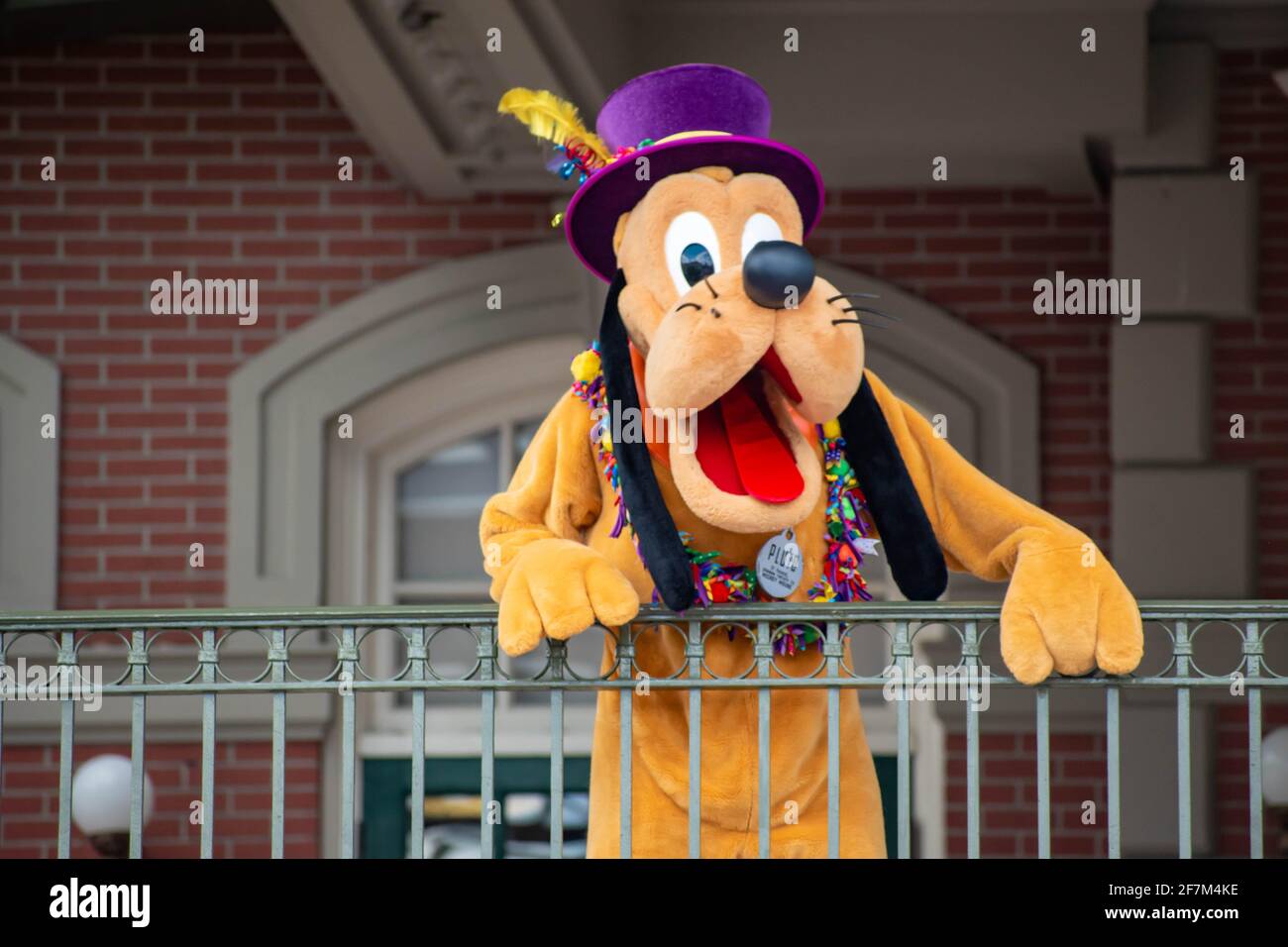 Orlando, Florida. August 04, 2020. Pluto waving from the balcony at ...