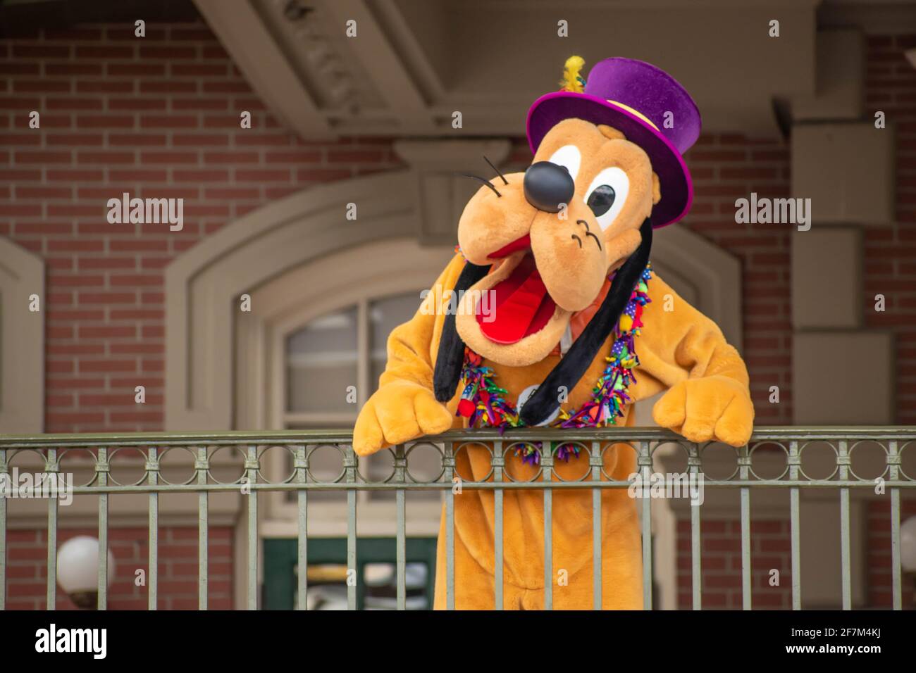 Orlando, Florida. August 04, 2020. Pluto waving from the balcony at ...