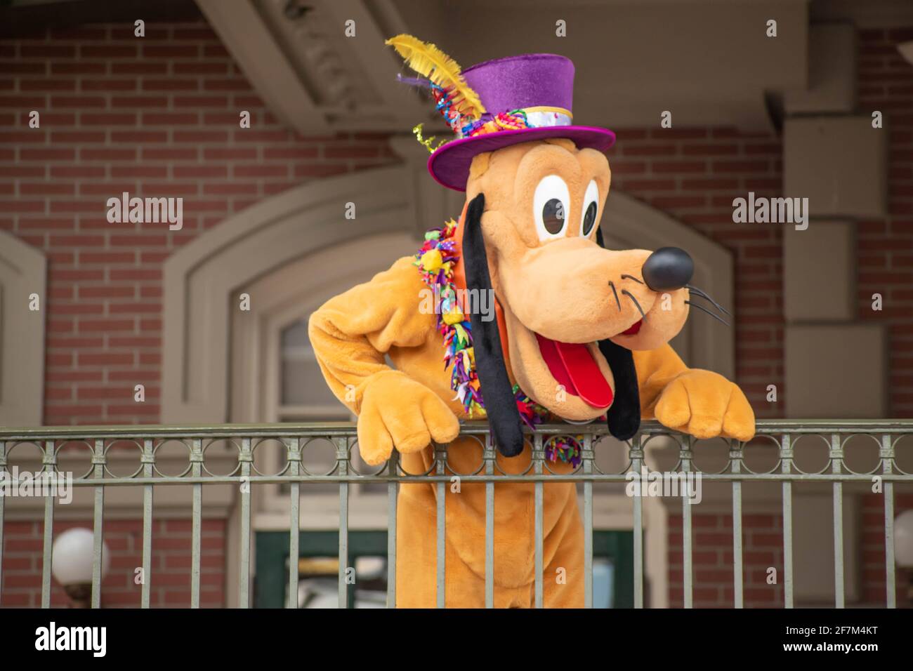 Orlando, Florida. August 04, 2020. Pluto waving from the balcony at ...