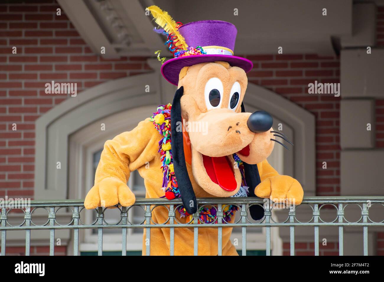 Orlando, Florida. August 04, 2020. Pluto waving from the balcony at ...