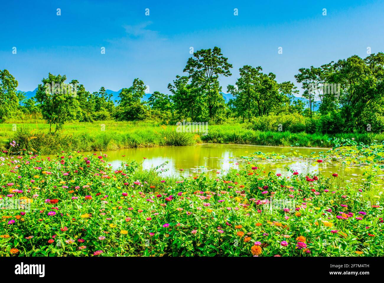 Agriculture mountain hi-res stock photography and images - Alamy