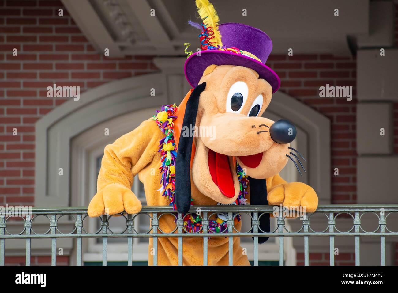 Orlando, Florida. August 04, 2020. Pluto waving from the balcony at ...