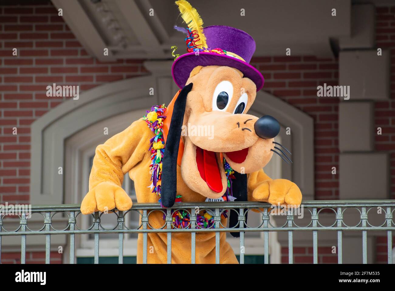 Orlando, Florida. August 04, 2020. Pluto waving from the balcony at ...