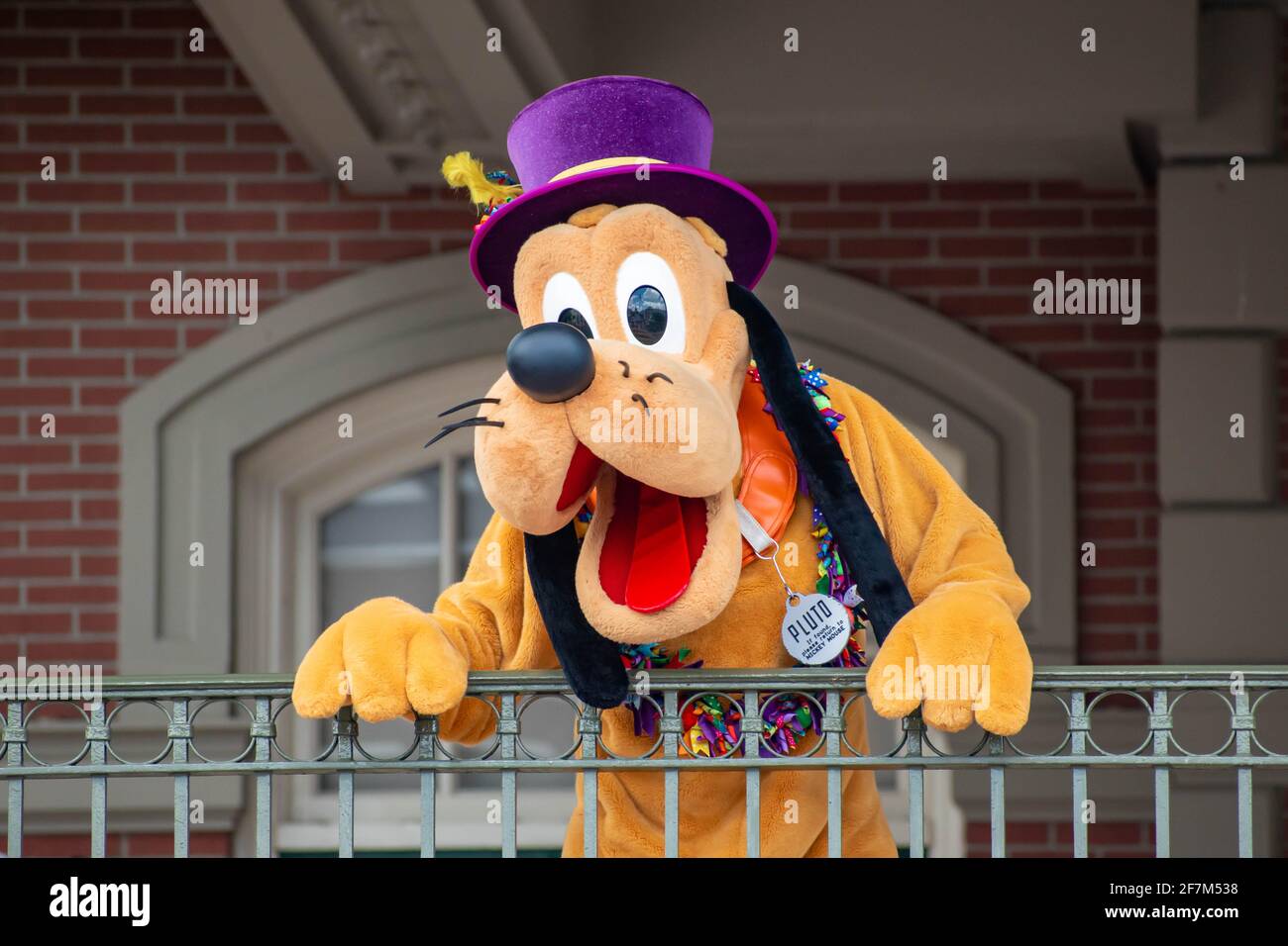 Orlando, Florida. August 04, 2020. Pluto waving from the balcony at ...