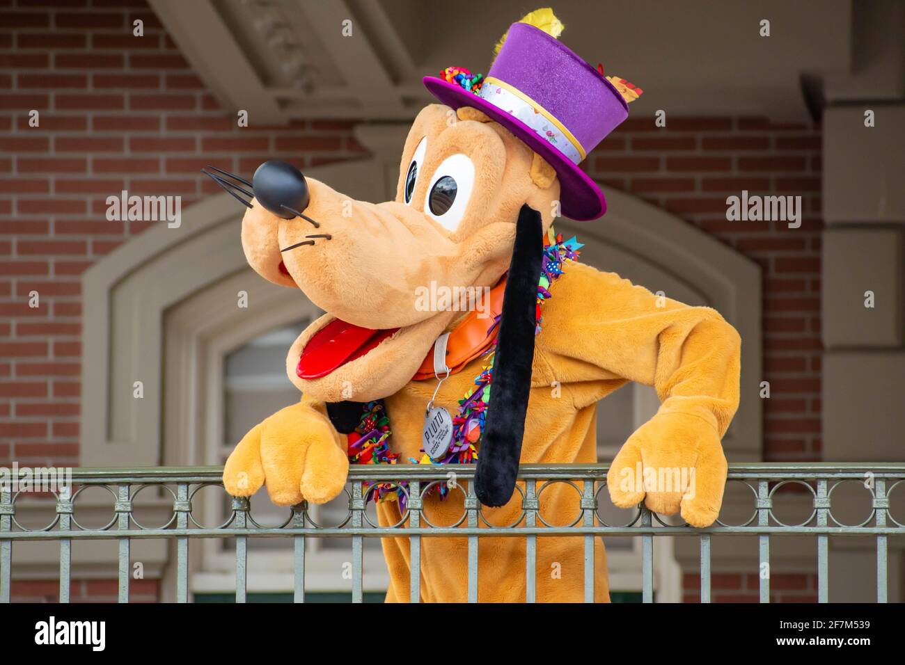 Orlando, Florida. August 04, 2020. Pluto waving from the balcony at ...