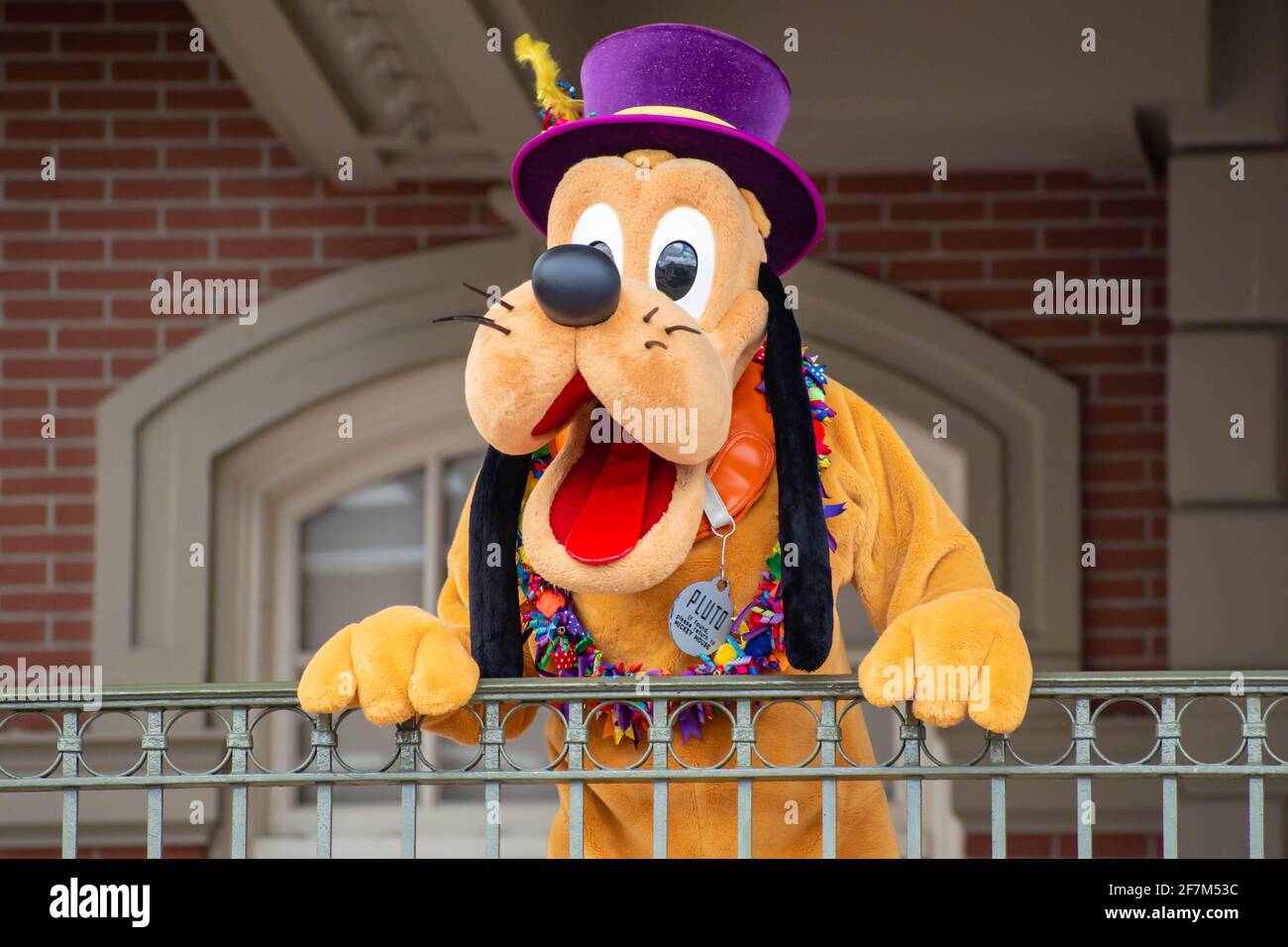 Orlando, Florida. August 04, 2020. Pluto waving from the balcony at ...