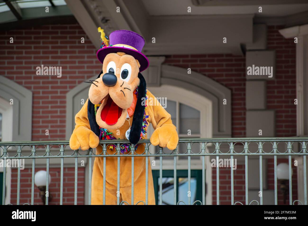 Orlando, Florida. August 04, 2020. Pluto waving from the balcony at ...
