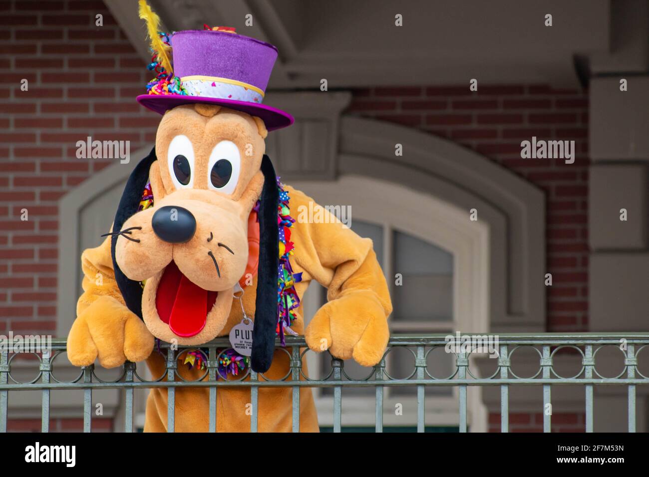 Orlando, Florida. August 04, 2020. Pluto waving from the balcony at ...