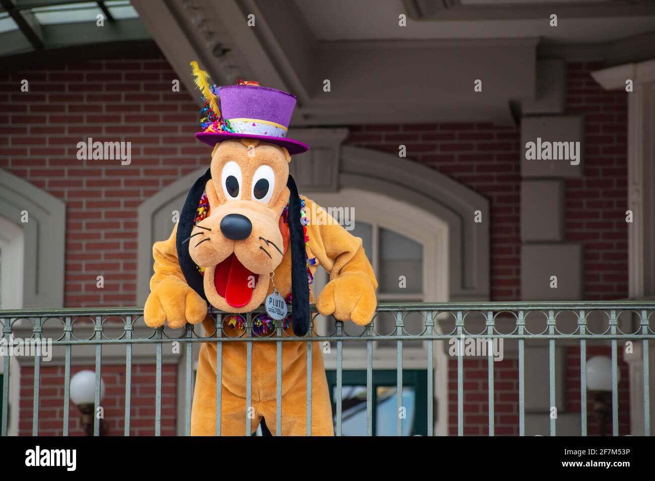 Orlando, Florida. August 04, 2020. Pluto waving from the balcony at ...
