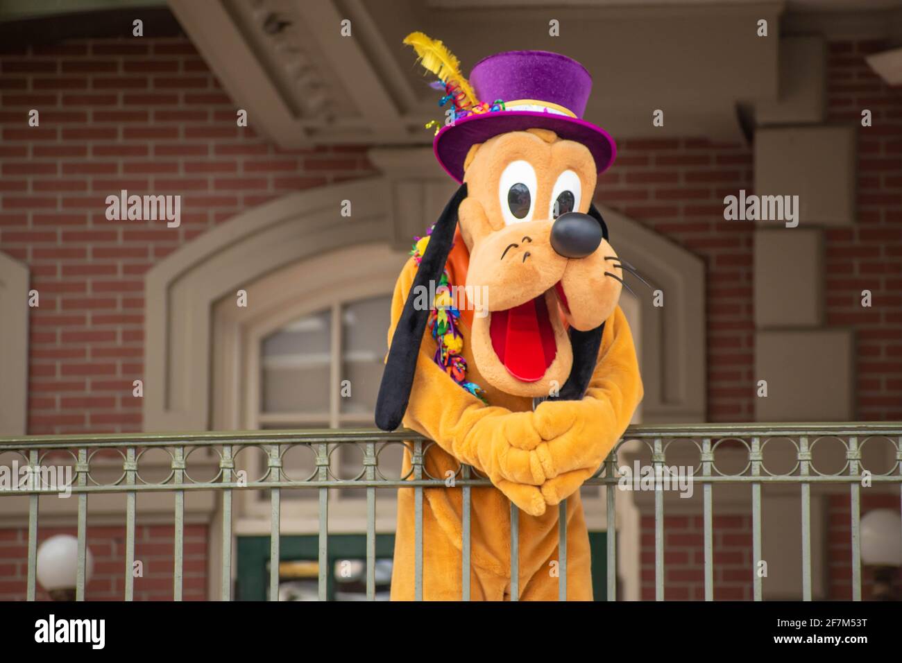 Orlando, Florida. August 04, 2020. Pluto waving from the balcony at ...