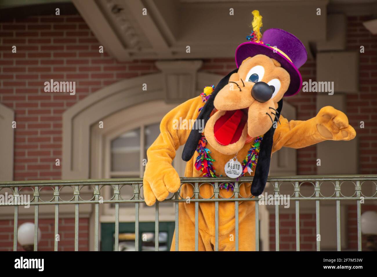 Orlando, Florida. August 04, 2020. Pluto waving from the balcony at ...