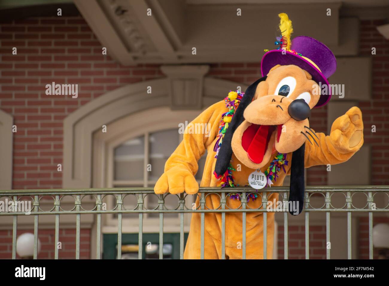 Orlando, Florida. August 04, 2020. Pluto waving from the balcony at ...