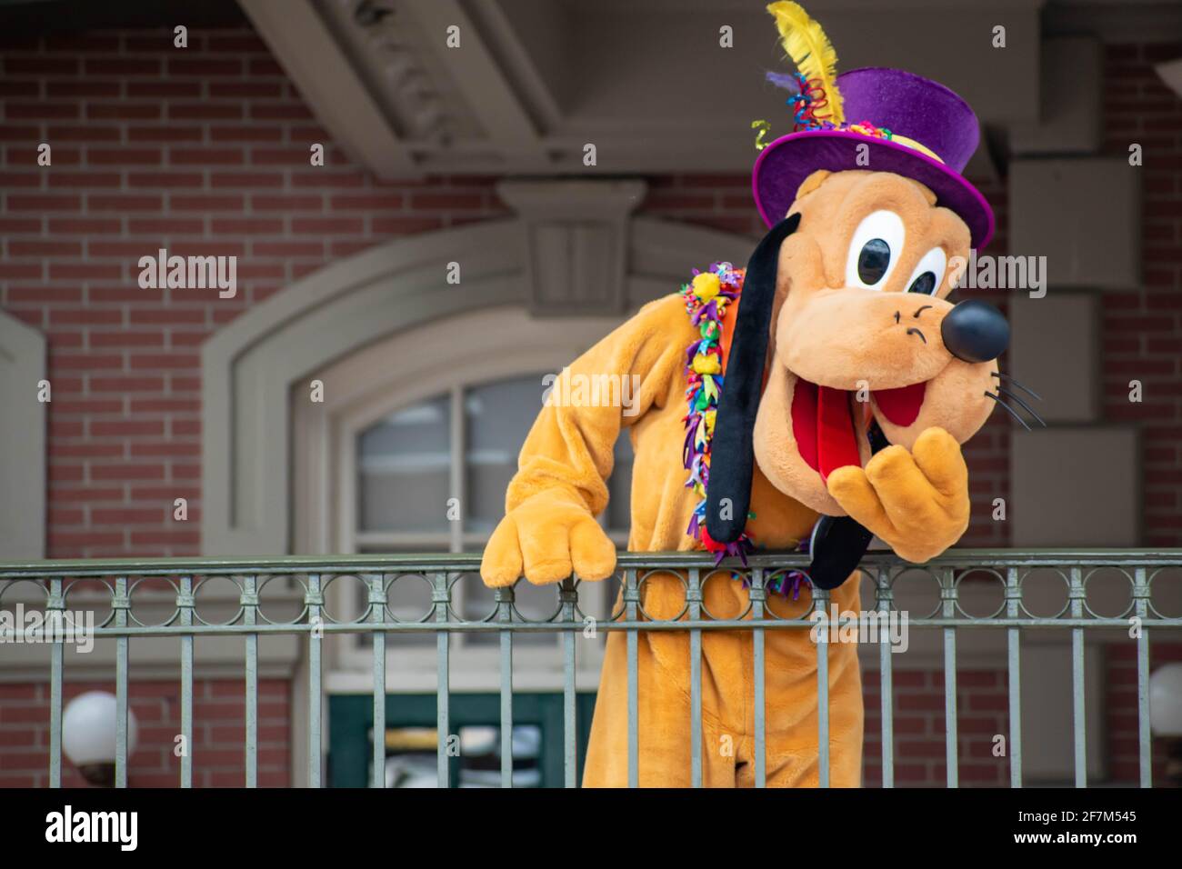 Orlando, Florida. August 04, 2020. Pluto waving from the balcony at ...