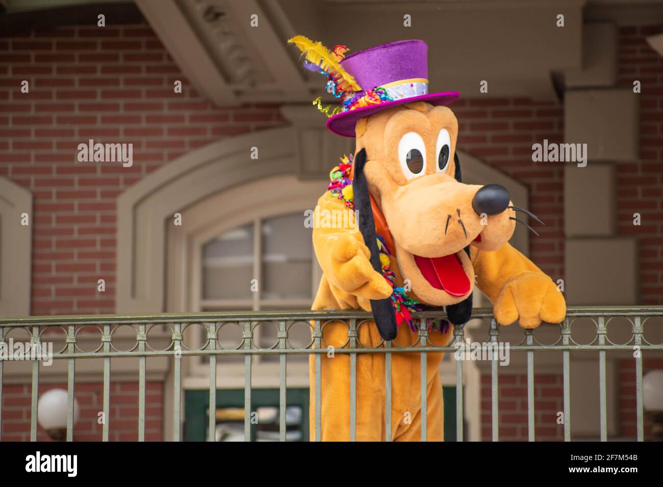 Orlando, Florida. August 04, 2020. Pluto waving from the balcony at ...