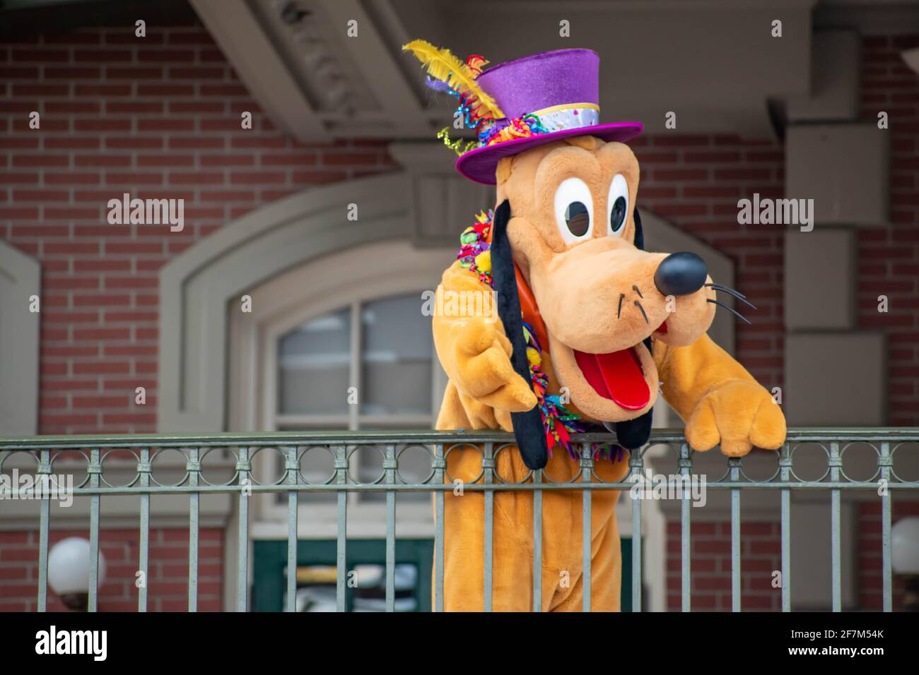 Orlando, Florida. August 04, 2020. Pluto waving from the balcony at ...