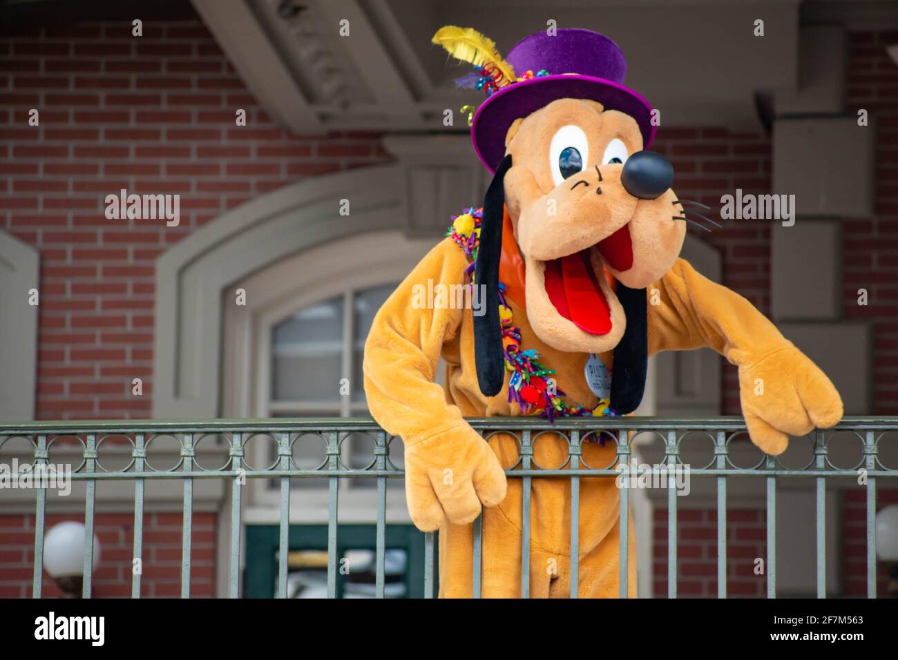 Orlando, Florida. August 04, 2020. Pluto waving from the balcony at ...