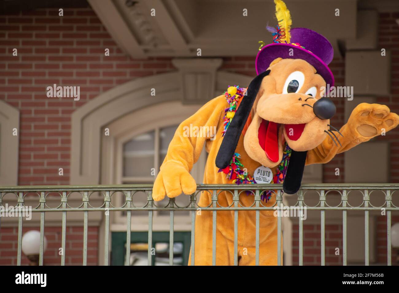 Orlando, Florida. August 04, 2020. Pluto waving from the balcony at ...