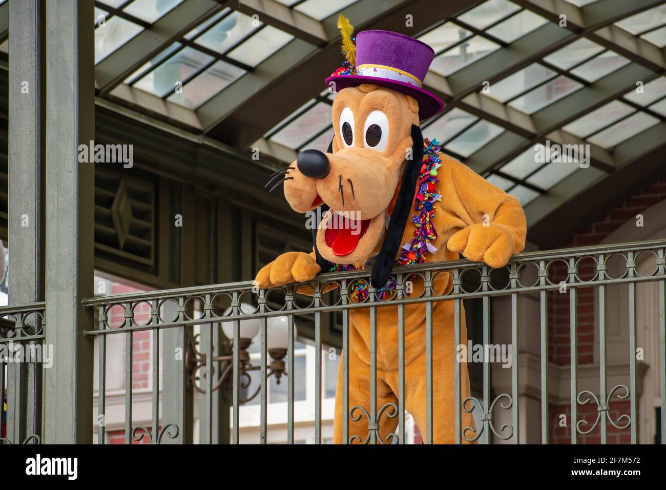 Orlando, Florida. August 04, 2020. Pluto waving from the balcony at ...