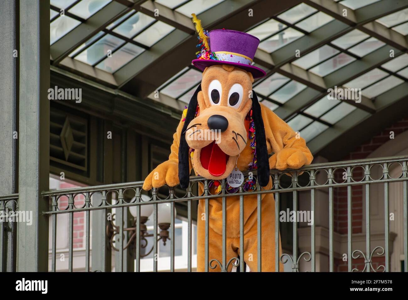 Orlando, Florida. August 04, 2020. Pluto waving from the balcony at ...