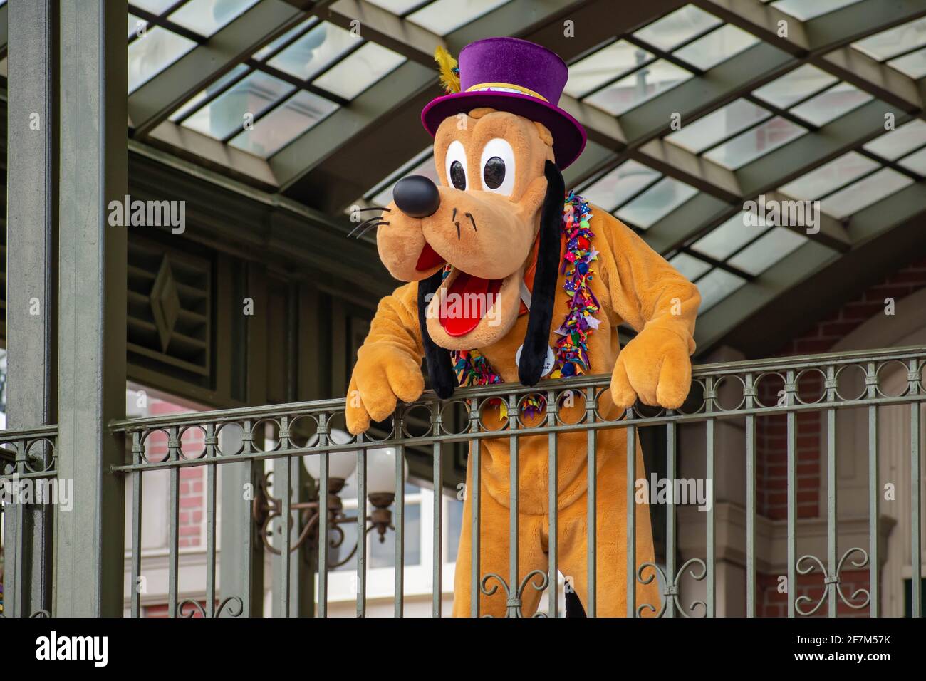 Orlando, Florida. August 04, 2020. Pluto waving from the balcony at ...