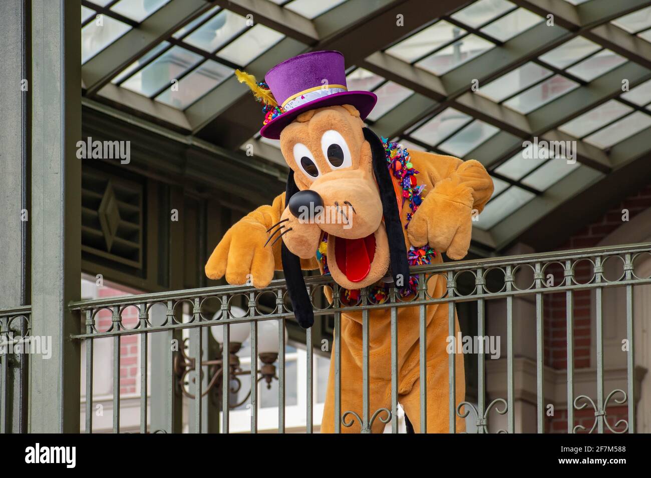 Orlando, Florida. August 04, 2020. Pluto waving from the balcony at ...