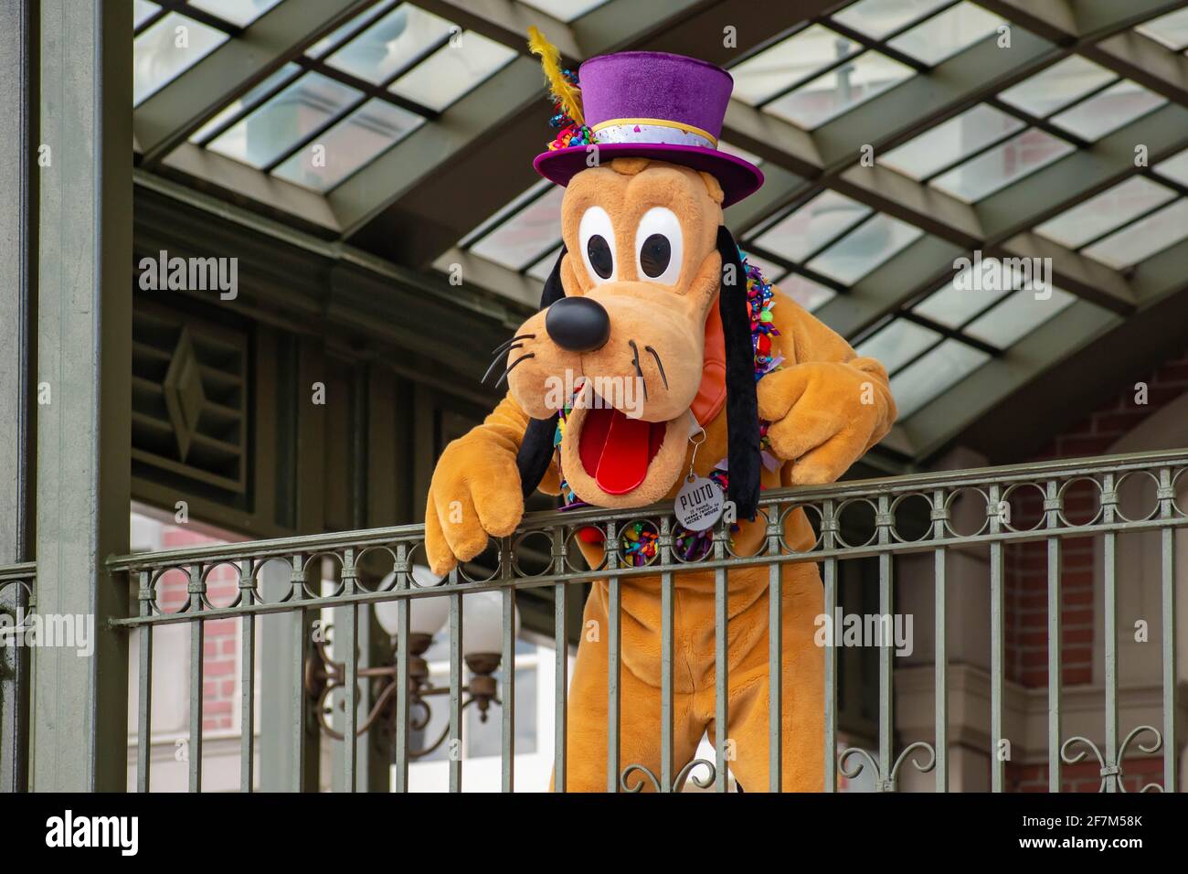 Orlando, Florida. August 04, 2020. Pluto waving from the balcony at ...