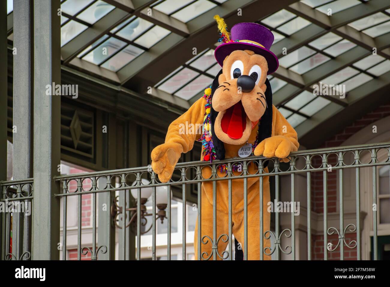 Orlando, Florida. August 04, 2020. Pluto waving from the balcony at ...