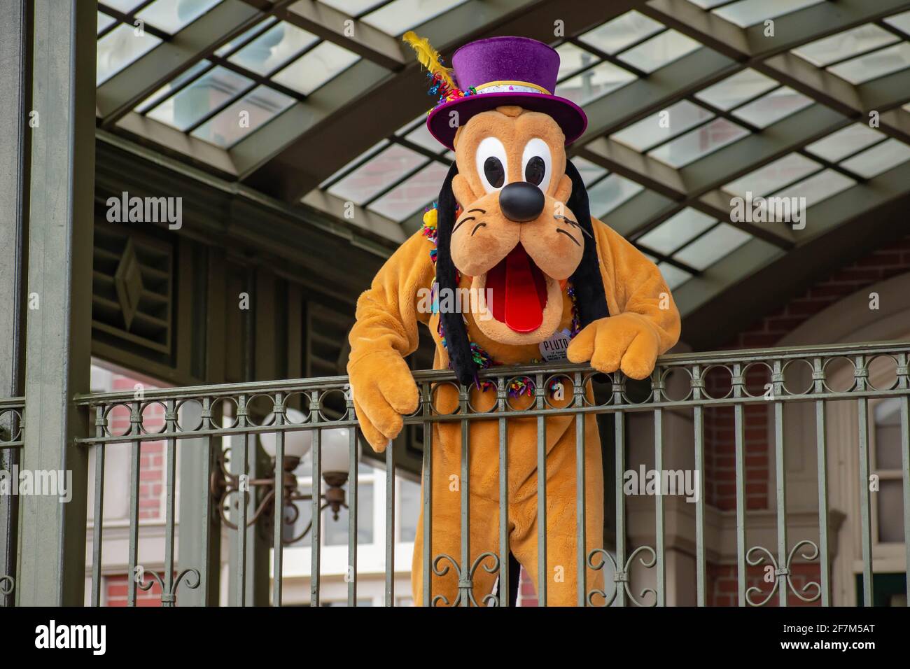 Orlando, Florida. August 04, 2020. Pluto waving from the balcony at ...